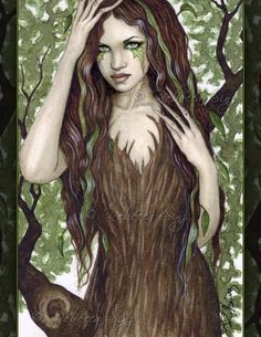 Hamadryads The Viridian Voice – The Alembicated Genie